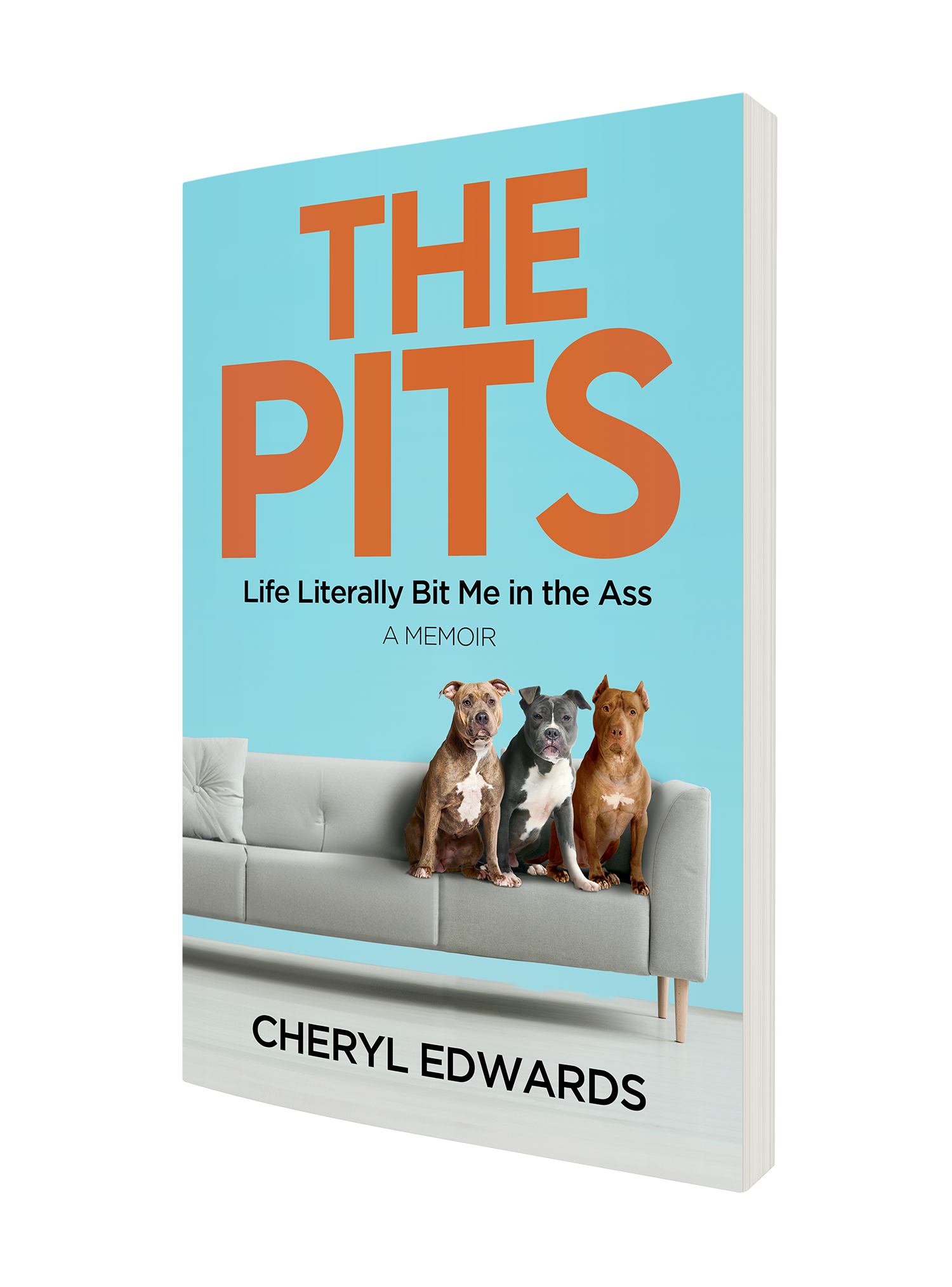 The WHY behind ‘The Pits’ - Cheryl Edwards